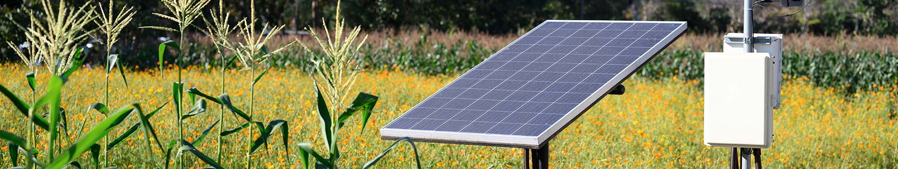 Protect Crops from Heat Mauritius Agrivoltaics | Cool Farming Guide